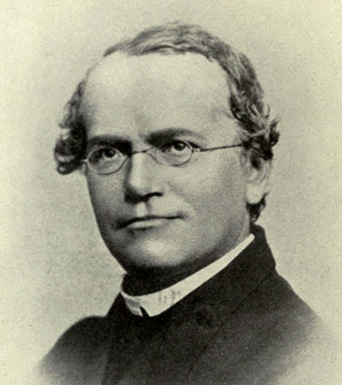 Mendel’s Theory of Heredity | A Philosopher's View