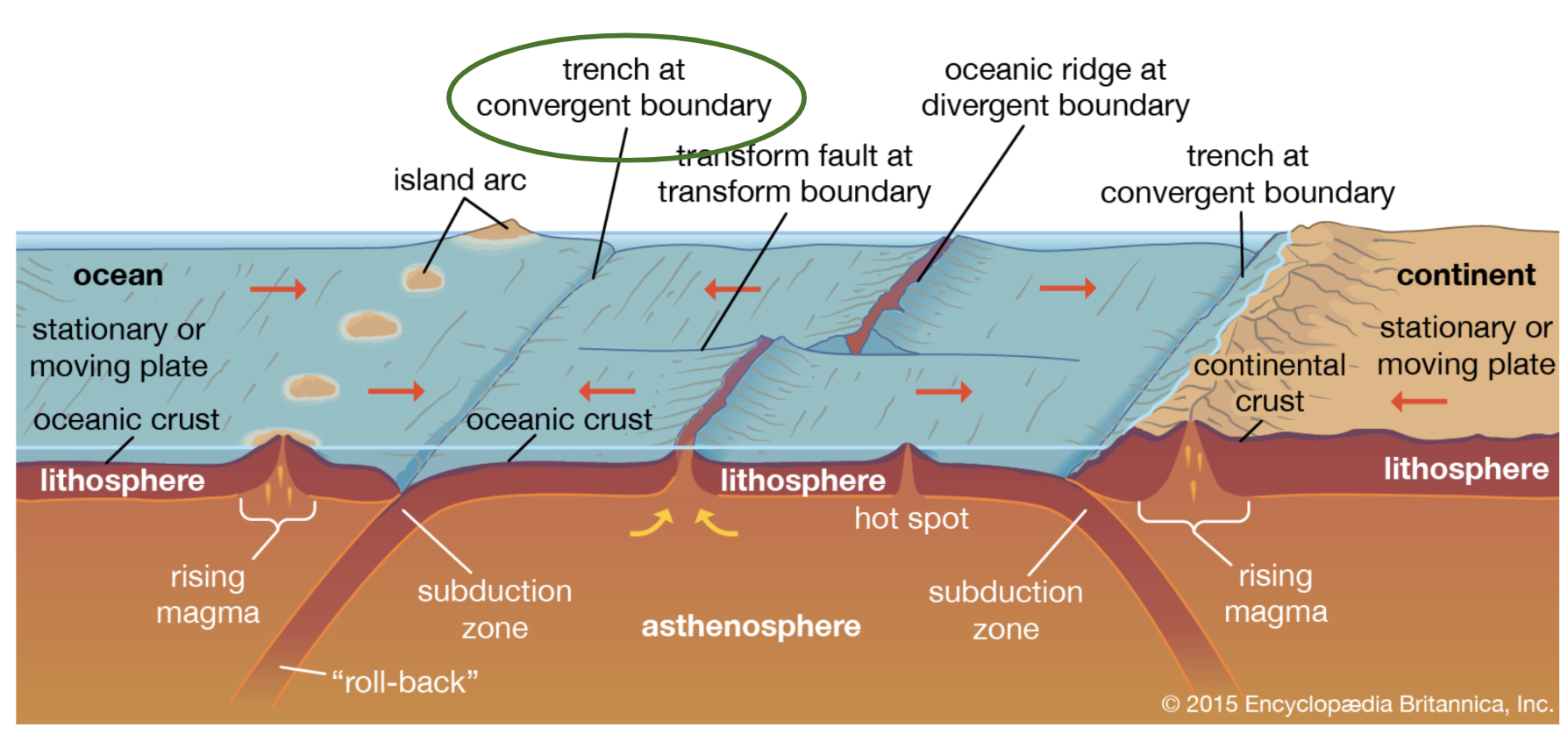 What Plate Tectonics Explains | A Philosopher's View