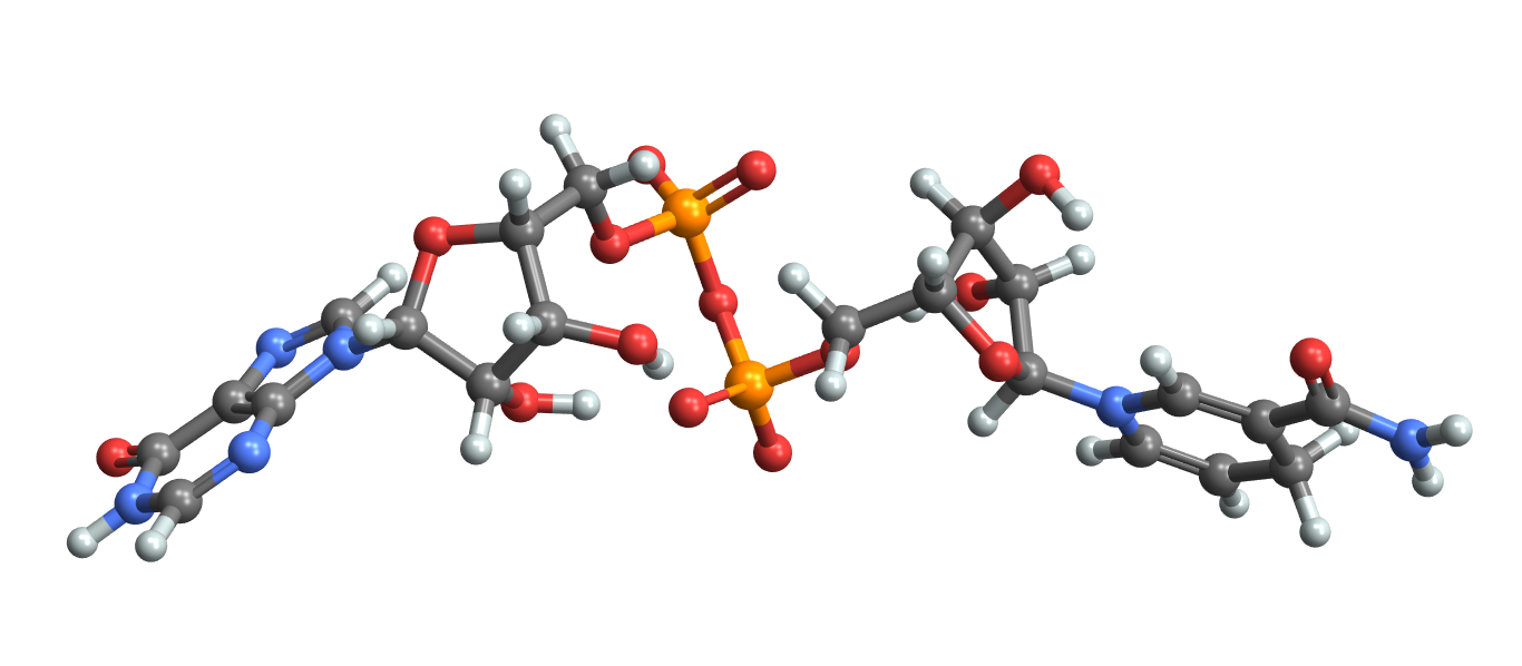 Scientific Models | A Philosopher's View