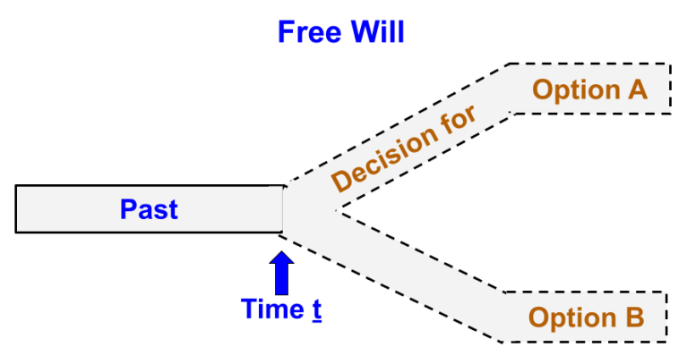 Free Will | A Philosopher's View